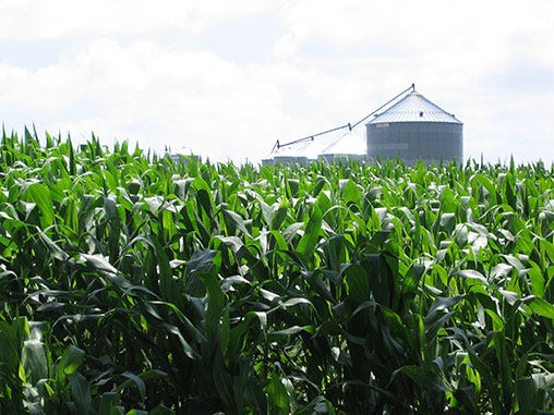 2018 Michigan agricultural land values - Michigan Farm News