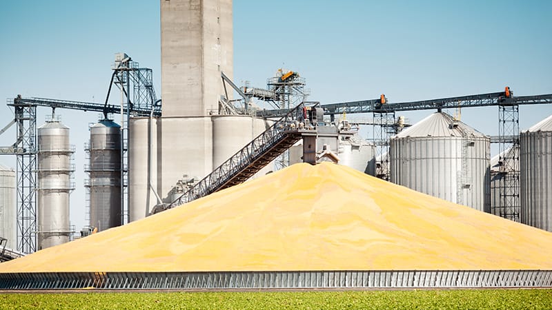 Interest rates drive corn, soybean storage costs to record levels ...