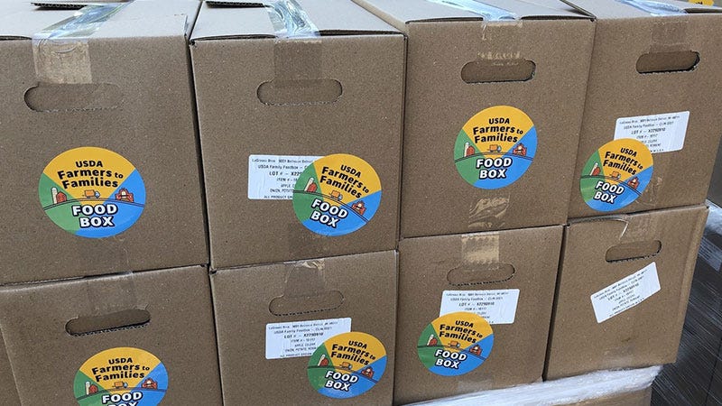 USDA announces 5th round of purchases to begin Jan. 19 for Farmers to ...