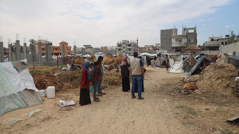 'Crisis-level' hunger worsens, nears 282M globally - Michigan Farm News