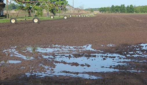 Wetter-than-normal weather expected through summer - Michigan Farm News