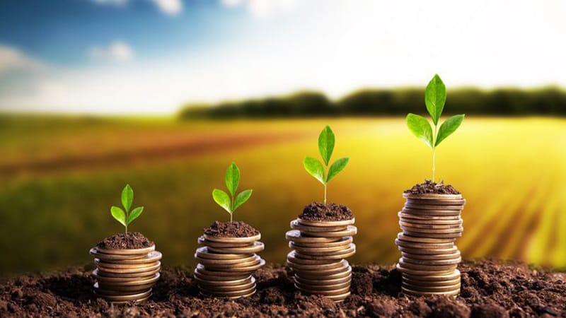 How profitable does 2022 look for your farm? - Michigan Farm News