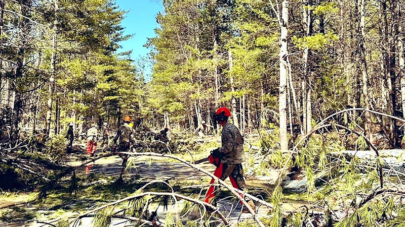 State Forest Management Plan delayed a year due to ice storm damage in ...