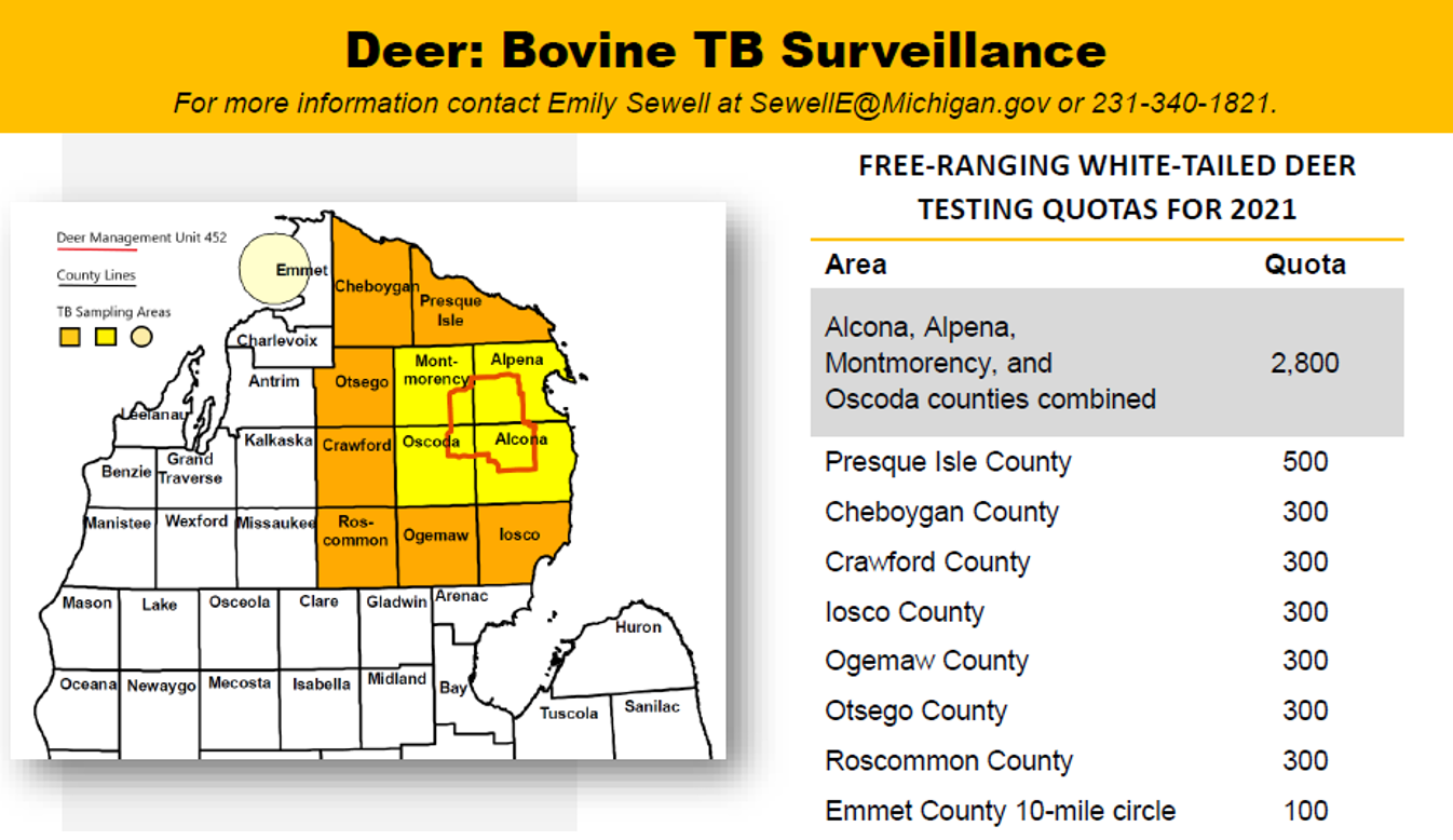 Calling all hunters: Submit deer heads for TB testing or face USDA ...