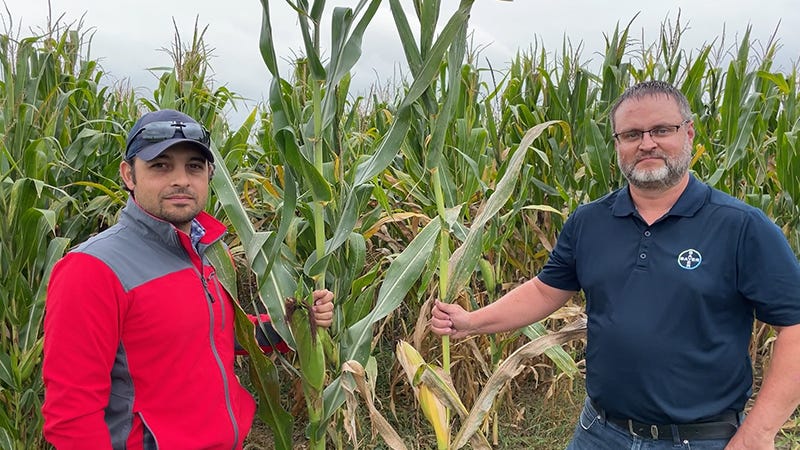 Crops - Michigan Farm News