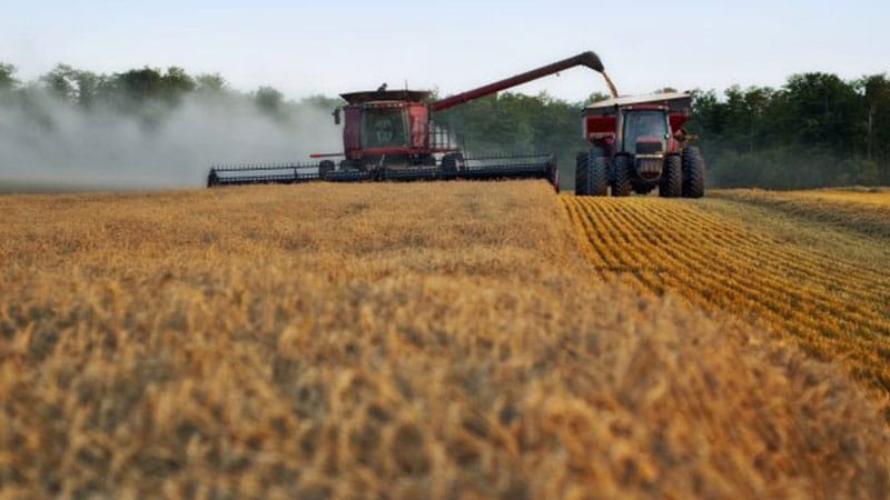 Groundbreaking multi-country 'Yield Enhancement Network' to benefit ...