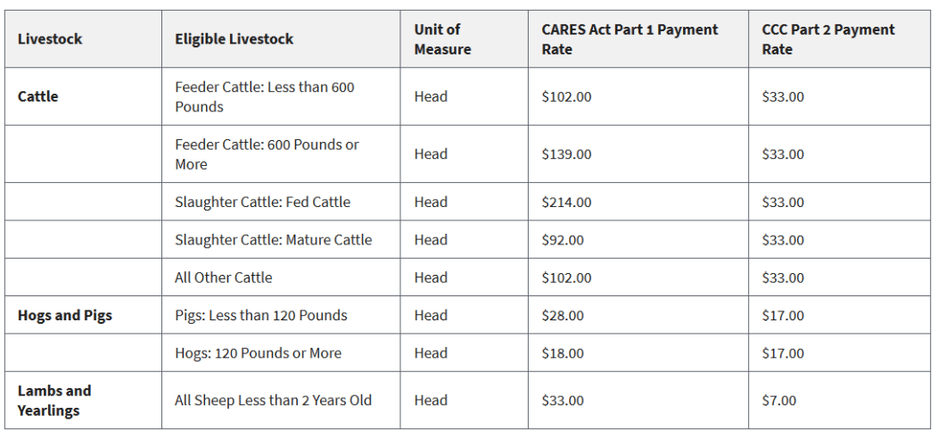 USDA releases CFAP details and payment rates – producer enrollment ...