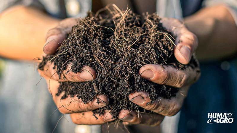 Bio Huma Netics marks 50th anniversary with a new name: Huma - Michigan ...