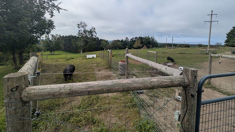 Boost your biosecurity with these tools and workshops from MSU ...