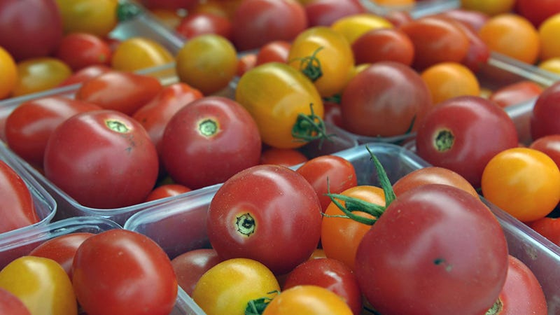 USDA announces 'Great American Farmers Market' to celebrate America 250 ...