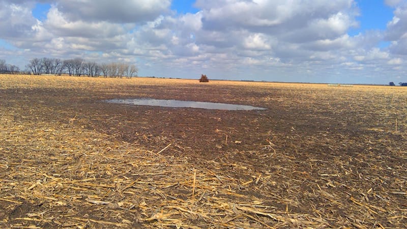 Iowa farmland owner sues USDA over 'Swampbuster' abuse, restrictions ...
