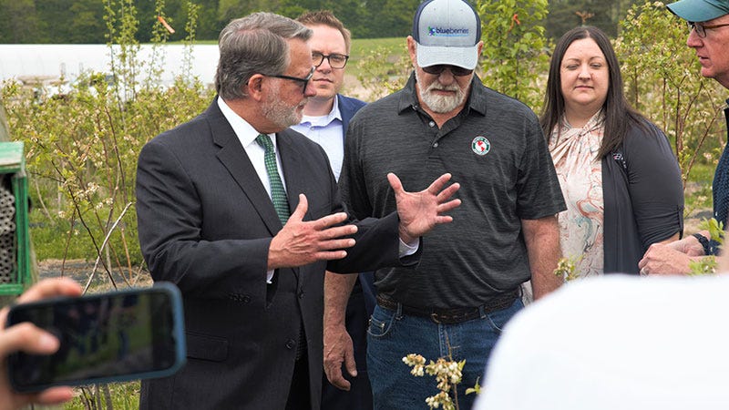 Samba wasps are another tool for blueberry, cherry growers to reduce ...