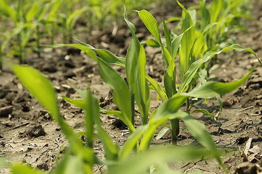 New nitrogen stabilizer protects UAN and urea above ground - Michigan ...