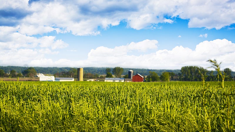 Register for final Farm Bill listening sessions on Aug. 3, 16 ...