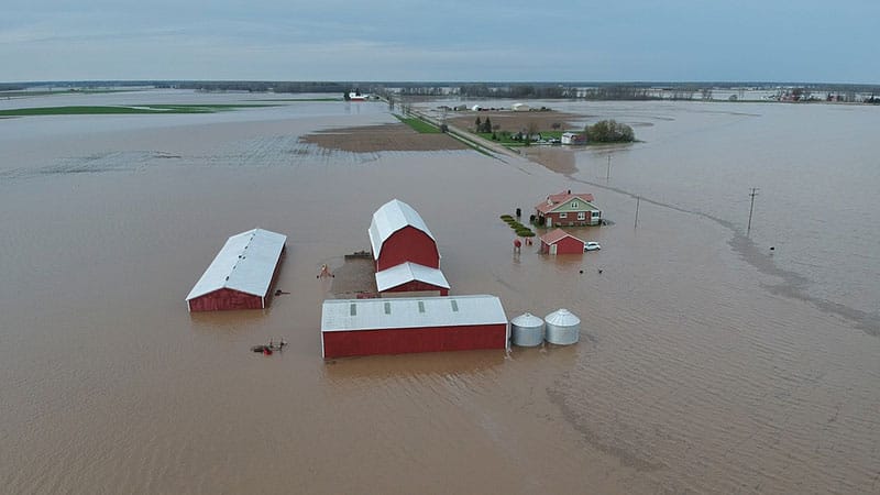 Farm fields underwater creating 'grim outlook' - Michigan Farm News
