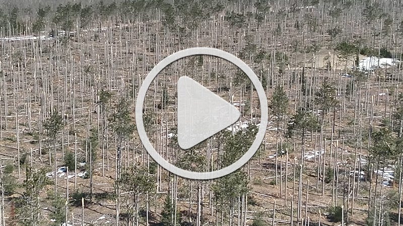 Interactive map shows northern Michigan roads now open following ice ...