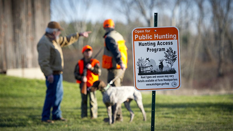 Get paid to help manage Michigan’s deer population with DNR’s Hunting ...