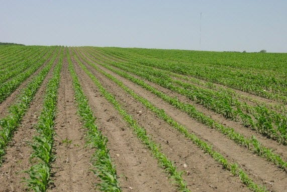 Soil compaction challenges in 2020 crop production - Michigan Farm News