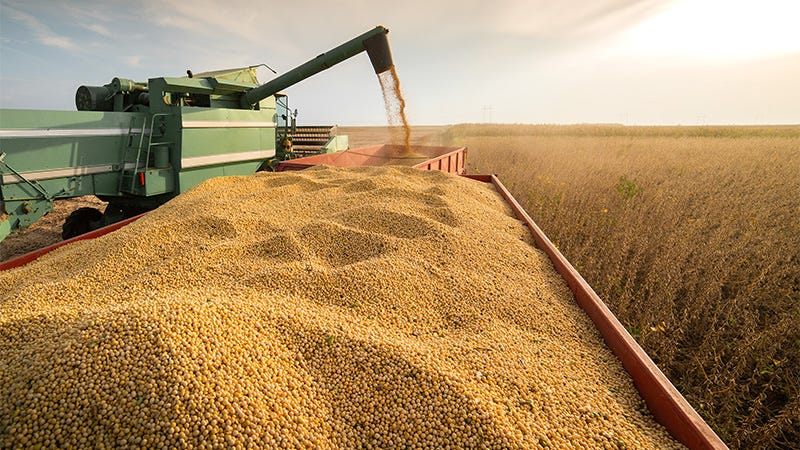 South America’s soybean influence holds — but for how long? - Michigan ...