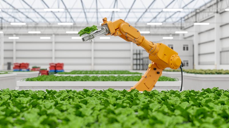 Robots, drones, and a digital crystal ball: What's next for AI in ag ...