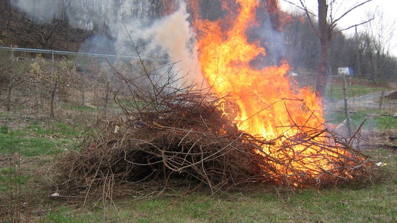 DNR to allow open burning; permits still required - Michigan Farm News