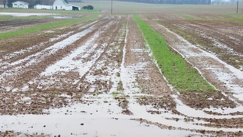 Expect warmer-, wetter-than-normal conditions for April - Michigan Farm ...