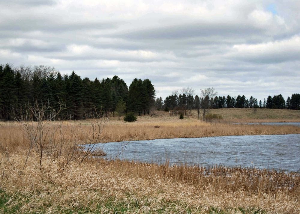 USDA opens signup for Conservation Reserve Program - Michigan Farm News