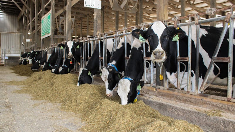 The farmland boom: Values up 33% since 2020 - Michigan Farm News