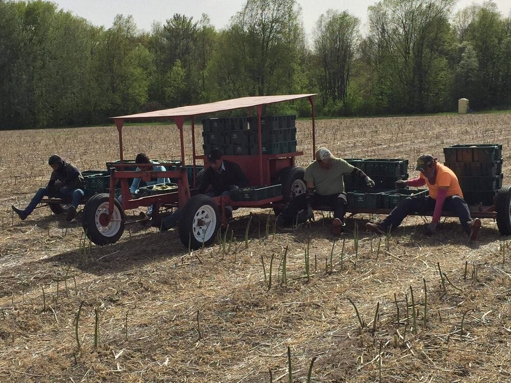 Farm Workforce Modernization Act reintroduced - Michigan Farm News