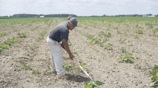 Issues to deal with: agricultural labor - Michigan Farm News