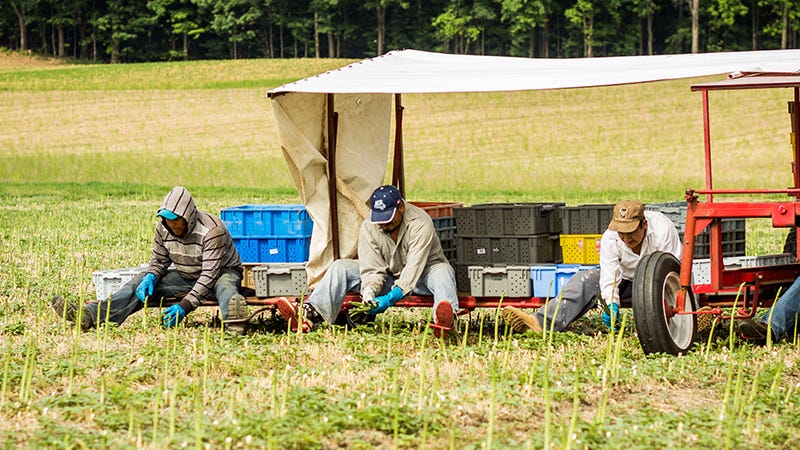 Department of Labor to host online educational seminar for agriculture ...