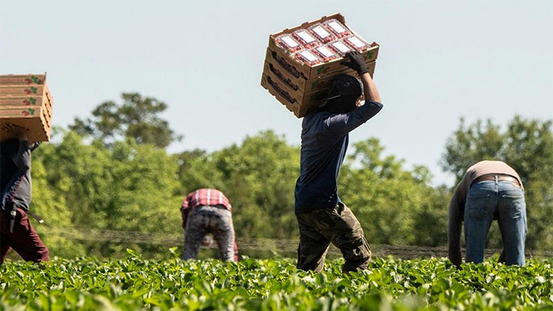 AFBF calls for action in attempt to 'jumpstart' ag labor reform ...