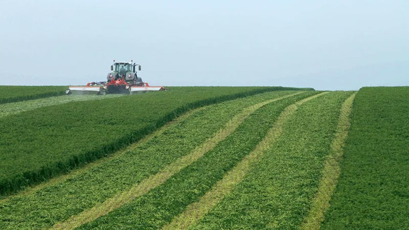 DLF acquires Corteva Agriscience alfalfa breeding program, related ...