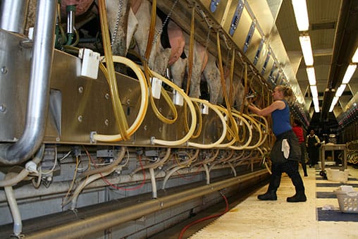 MMPA invests in milk plant - Michigan Farm News