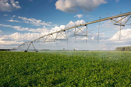 Dry field conditions create need for early irrigation - Michigan Farm News