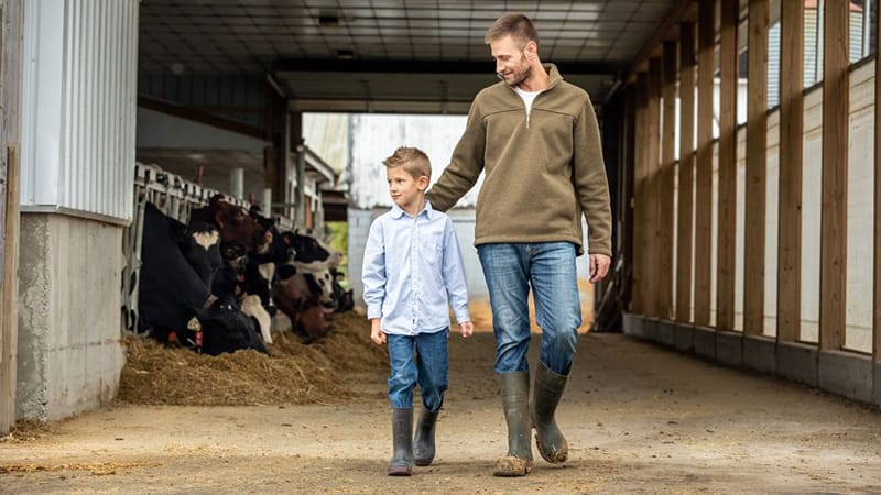 From ‘Dream Winds’ to ‘AgCulture,’ Paul Windemuller redefines dairy ...