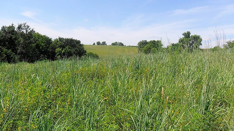 Home Page - Michigan Farm News