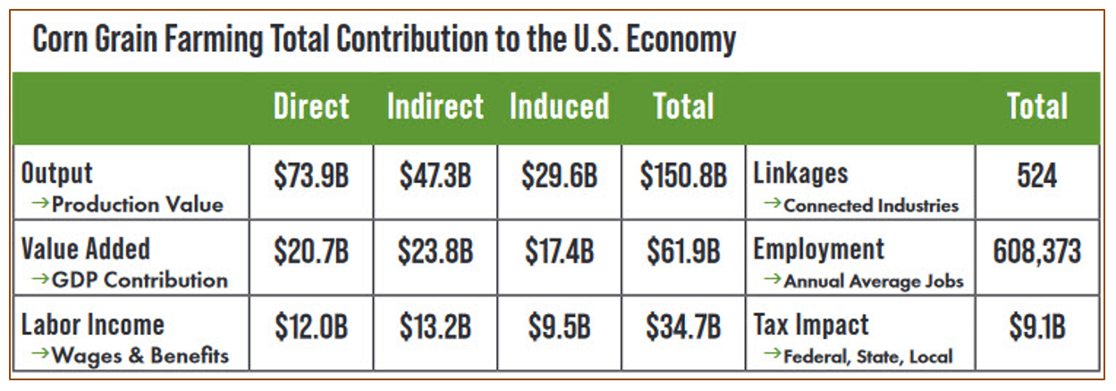 NCGA study: 2023 US corn production an economic powerhouse - Michigan ...