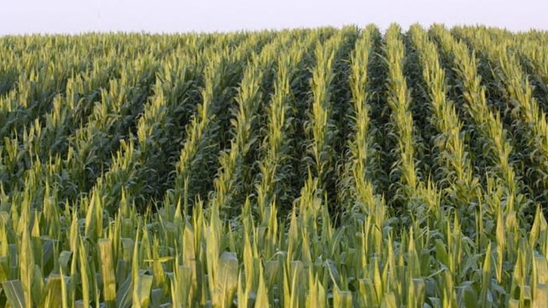 MSU seeks farmers for project on climate change impact to Michigan ...