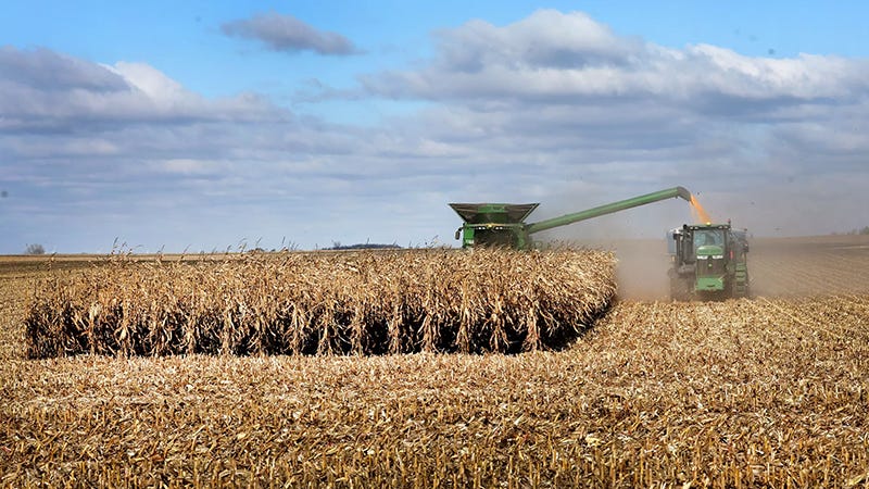 Michigan Sugar Company begins 2025 sugarbeet harvest - Michigan Farm News