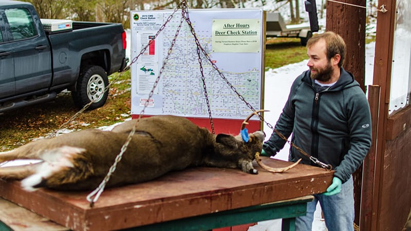 MDNR reports 2023 statewide deer harvest down 11% - Michigan Farm News