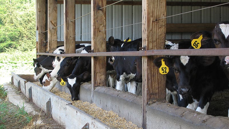 Generational farm transfer, step 1: What do you want? - Michigan Farm News