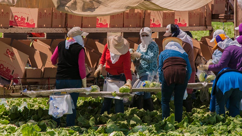 MFB, key ag groups back Moolenaar's bill to pause AEWR at 2023 levels ...