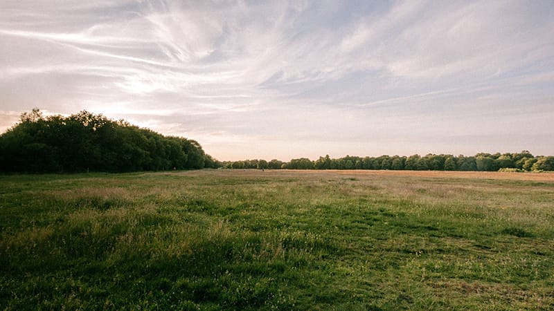 MDARD launches Farm-to-Family grant program - Michigan Farm News