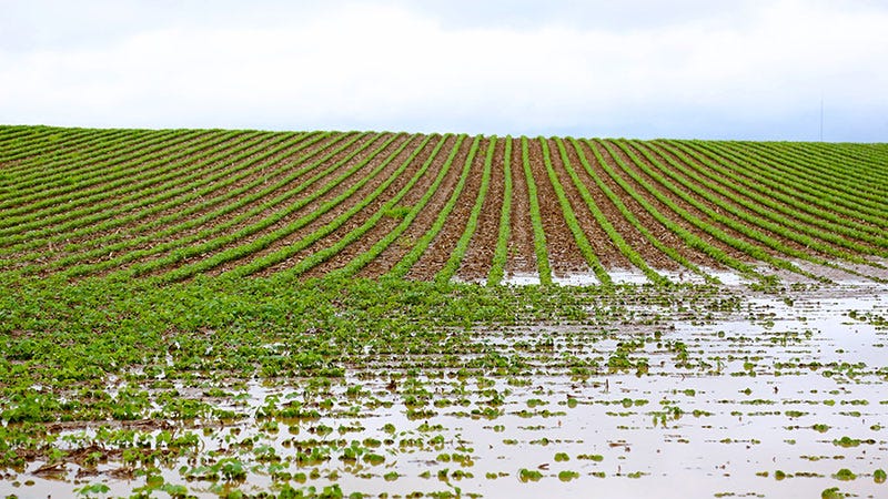 Take advantage of weather windows of opportunity - Michigan Farm News