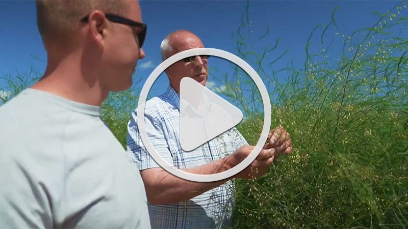 Springdale Farms receives Vegetable Council's 2024 Master Farmer Award ...