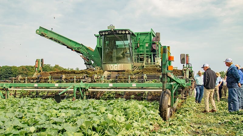 Tour de force: Alabama farmers experience MI agriculture - Michigan ...
