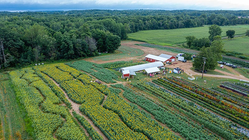 Michigan farmland values, cash rents -- virtually unchanged in 2019 ...