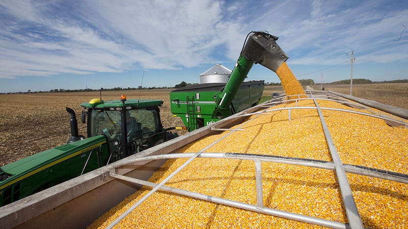 Dramatic westward shift in US corn acres continues - Michigan Farm News