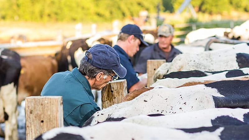 Childhood hunger worsens in Michigan, US - Michigan Farm News